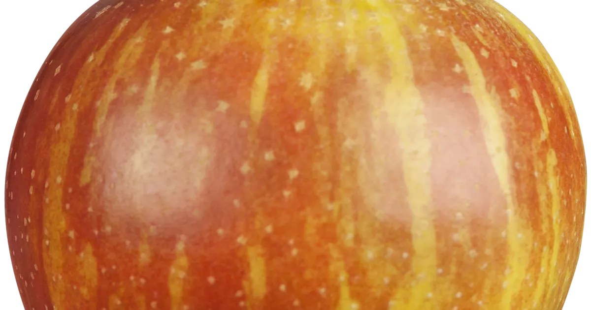 Malus (Apfel) 'Rubinette', Herbstapfel 'Rubinette'®